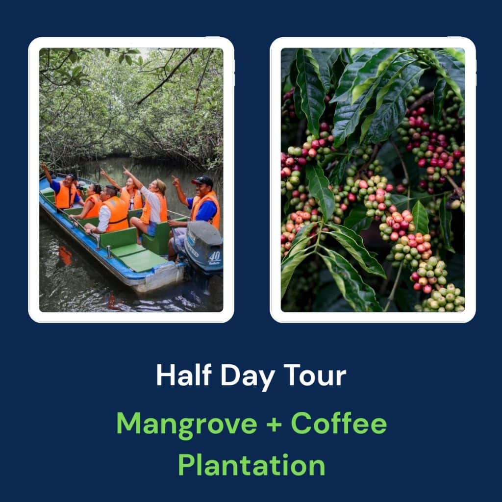 Bintan Half-Day Tour | Bintan Travel Guide