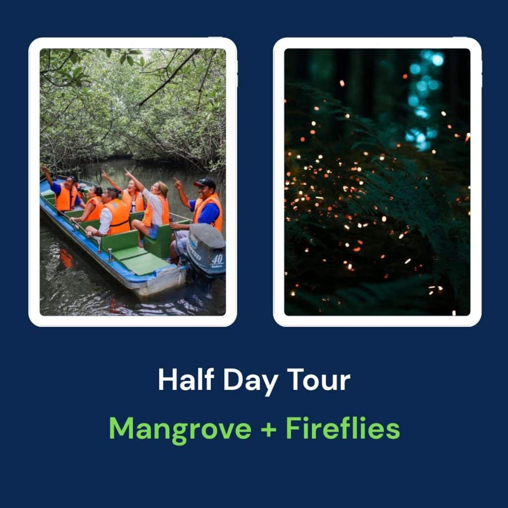 Bintan Half-Day Tour | Bintan Travel Guide